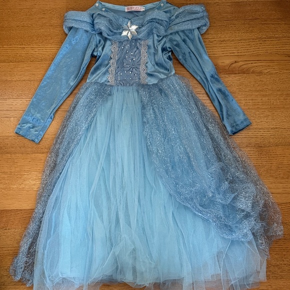 fashion classic | Costumes | Disney Frozen Inspired Blue Ice Princess ...